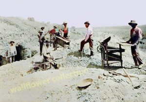 Standard Hill – Notes