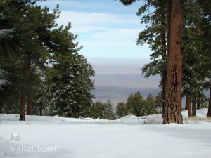 Table Mountain – Snow – Notes