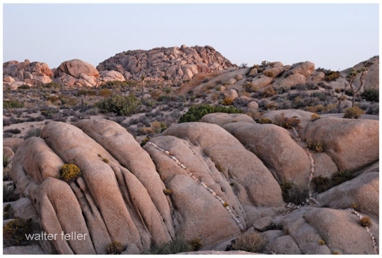 Joshua Tree National Park Geology – Notes