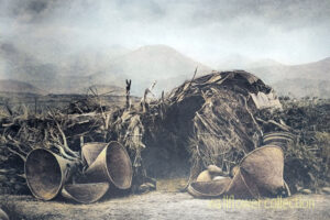 Wikiup (Shelter) – Notes