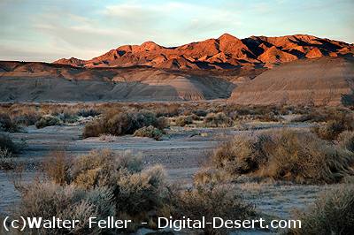 Shoshone/Tecopa & the Old Spanish Trail Route Guide