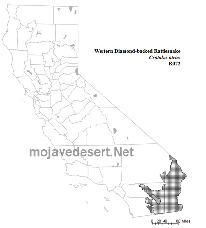 Western Rattlesnake Map
